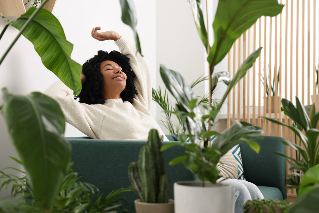 Boost Mental Well-Being with Indoor Plants: Enhancing Productivity and ...